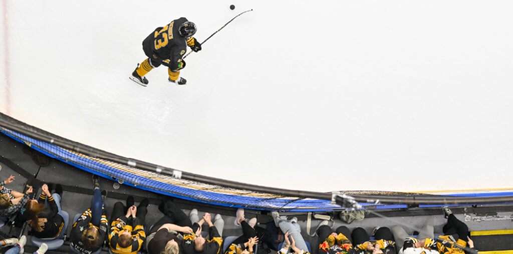 Panthers - Motorpoint Arena Nottingham